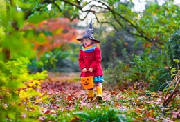 Your Guide To Safe Trick or Treating Ideas How To Halloween 