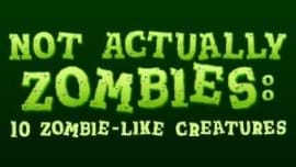 Not Actually Zombies: 10 Zombie-like Creatures from Movies and ...