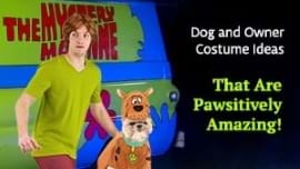 Dog and Owner Costume Ideas That Are Pawsitively Amazing! [Costume ...