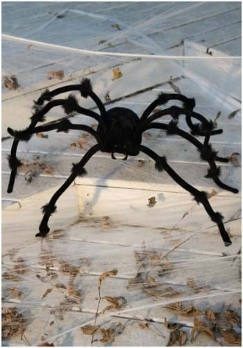 Poseable Black 50-Inch Spider Decoration