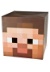 Minecraft Steve Head