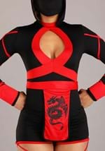 Women's Dragon Ninja Halloween Costume