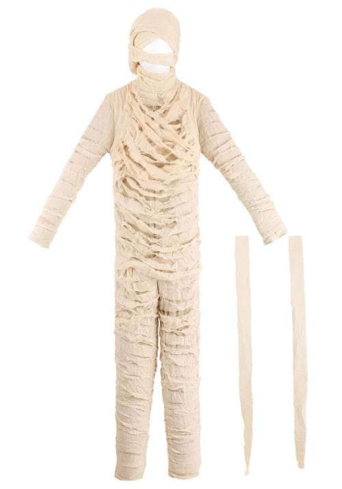 Egyptian Mummy Men's Costume | Scary Costumes