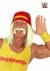 Plus Size Macho Man Randy Savage Costume