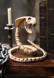 Cobra Skeleton 39 Cobra Skeleton 39
