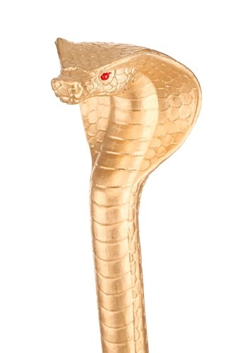 Snake Staff
