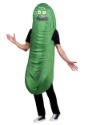 Pickle Adult Costume