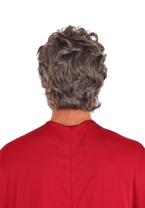 Biblical Moses Costume Wig and Beard for Adults | Religious Accessories