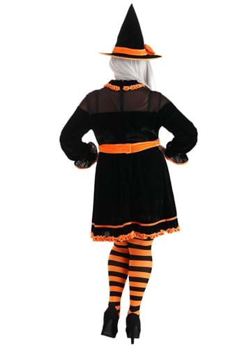 Plus Size Womens Crafty Witch Costume