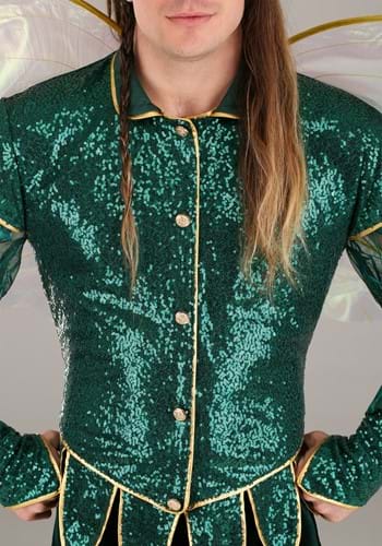 Forest Fairy Men's Costume
