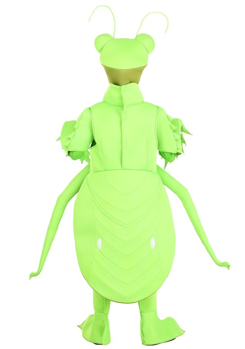 Praying Mantis Kid's Costume | Bug Costumes