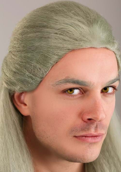 Monster Slayer Wig for Men | Video Game Wigs