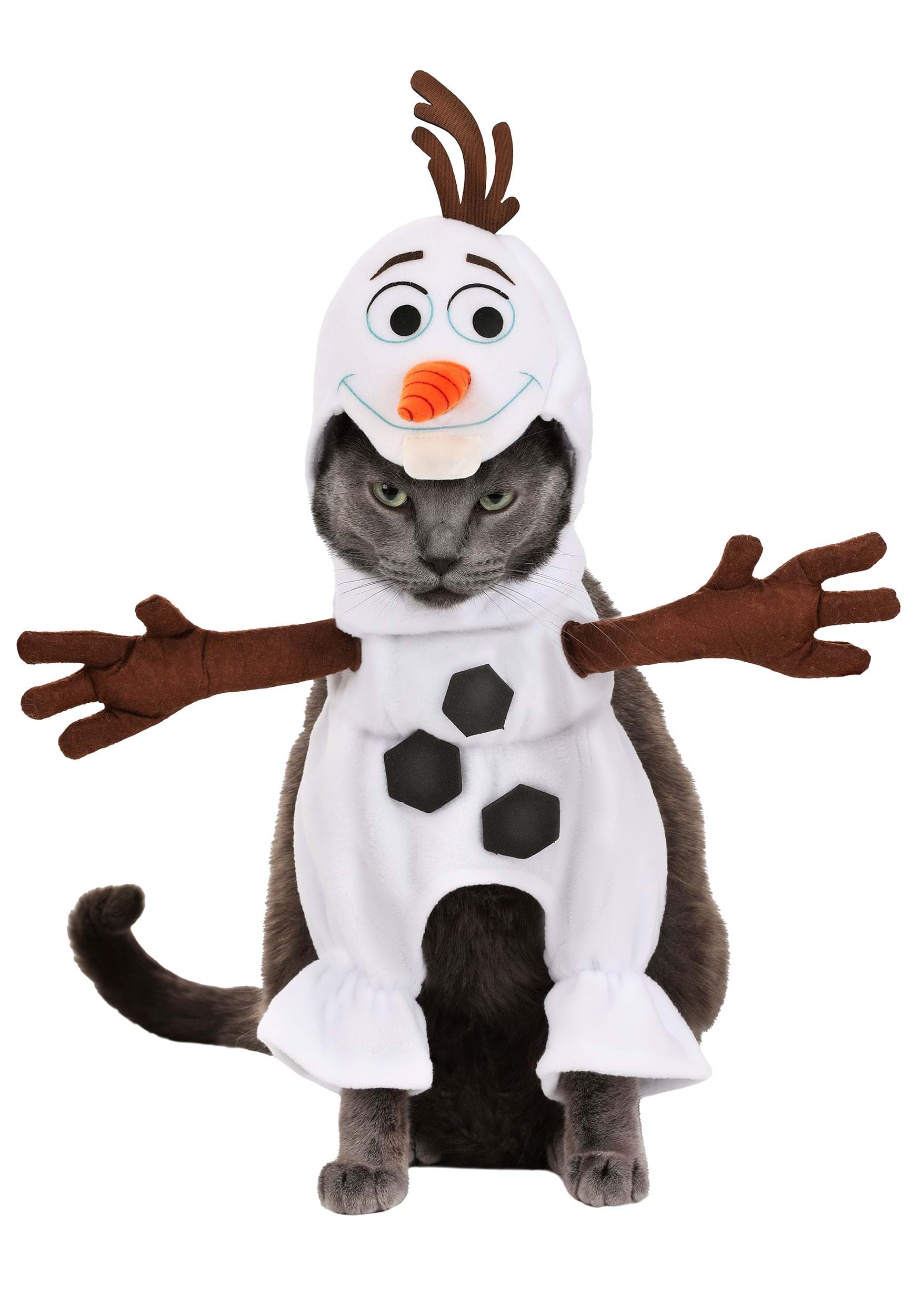Dog Frozen Olaf Costume