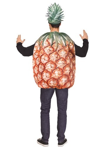 Adult Pineapple Costume