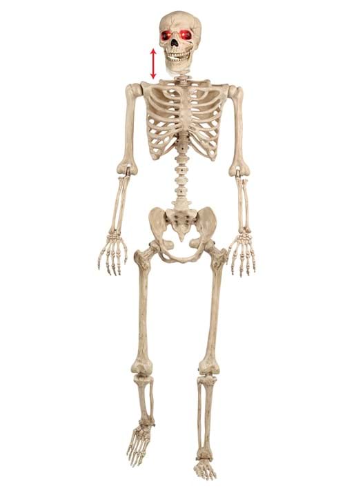 5FT Animated Mr. Crazy Bonez Poseable Human Skeleton Decoration ...