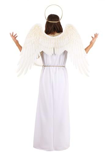 Heavenly Men's Angel Costume
