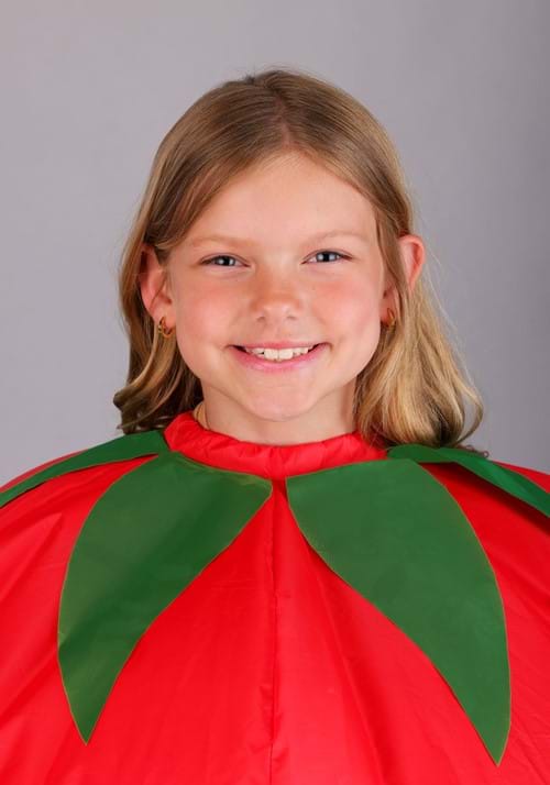 Inflatable Tomato Kid's Costume | Food Costumes