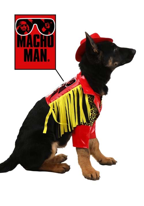 Pet Macho Man Dog Costume