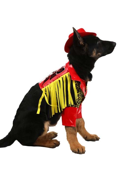 Pet Macho Man Dog Costume