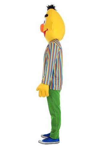 Adult Sesame Street Bert Costume
