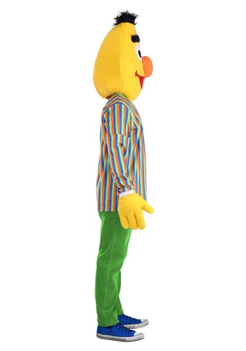 Adult Sesame Street Bert Costume