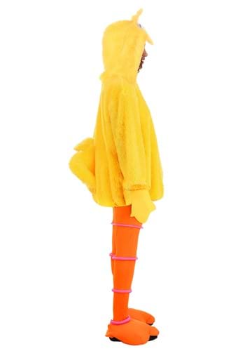 Cozy Big Bird Costume for Women
