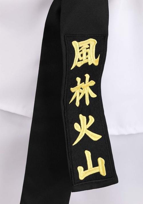 Street Fighter Ryu Costume for Adults