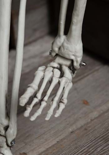 Posable 5 Ft Skeleton Prop