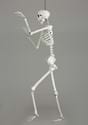 Posable 5 Ft Skeleton Prop