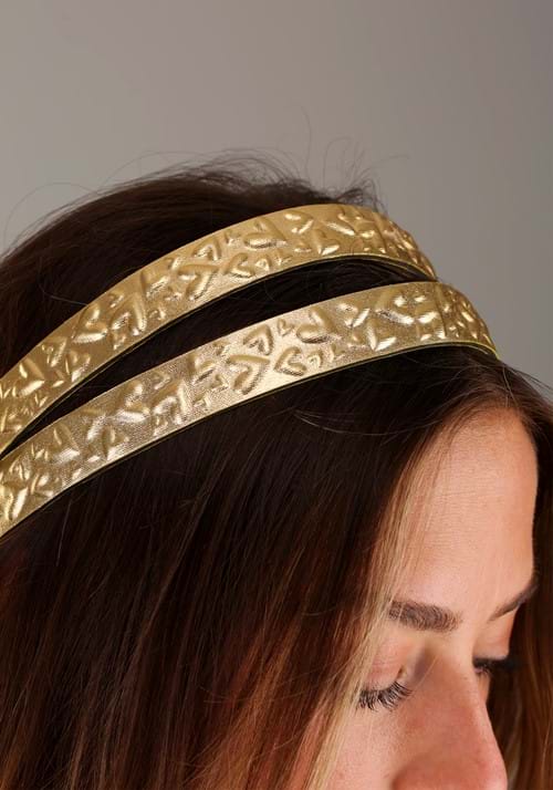 Greek Goddess Aphrodite Costume Kit for Adults | Goddess Costumes