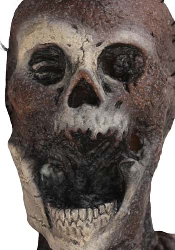 5.25' Decomposing Corpse Skeleton Halloween Prop