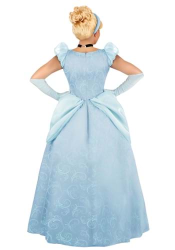 Women S Premium Cinderella Costume