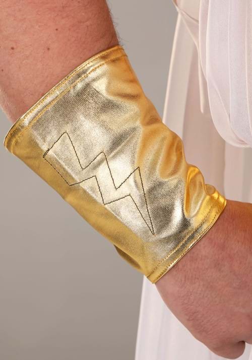 Deluxe Zeus Men's Costume