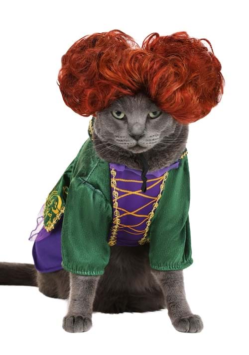 Disney Winifred Sanderson Hocus Pocus Pet Costume | Disney Pet Costumes