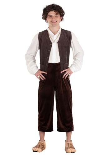 Lord of the Rings Men's Frodo Costume