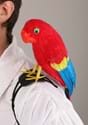 Pet Parrot Shoulder Accessory