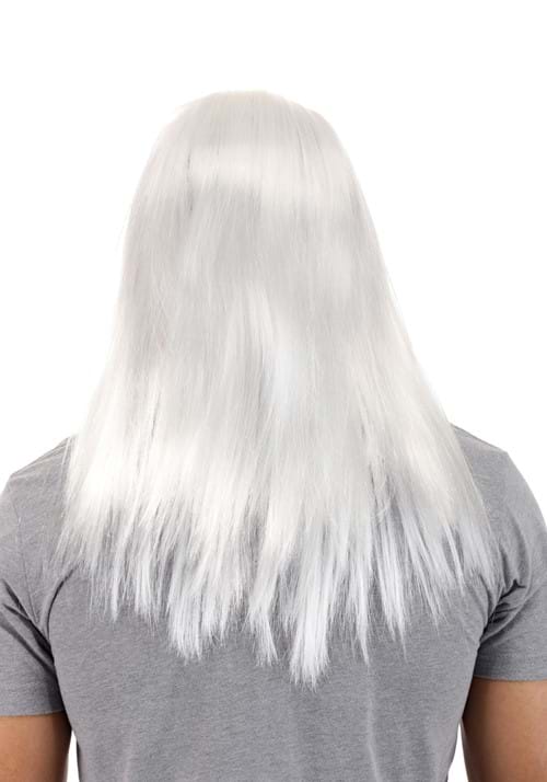 Merlin Wig and Beard Costume Accessory Kit