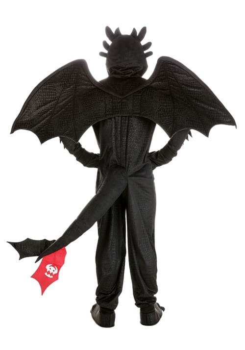 How to Train Your Dragon Adult Toothless Costume | Movie Costumes