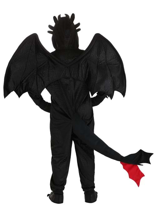 Plus Size How to Train Your Dragon Toothless Costume | Movie Costumes