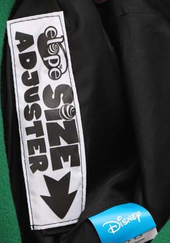 Disney Peter Pan Costume Hat Green for Men