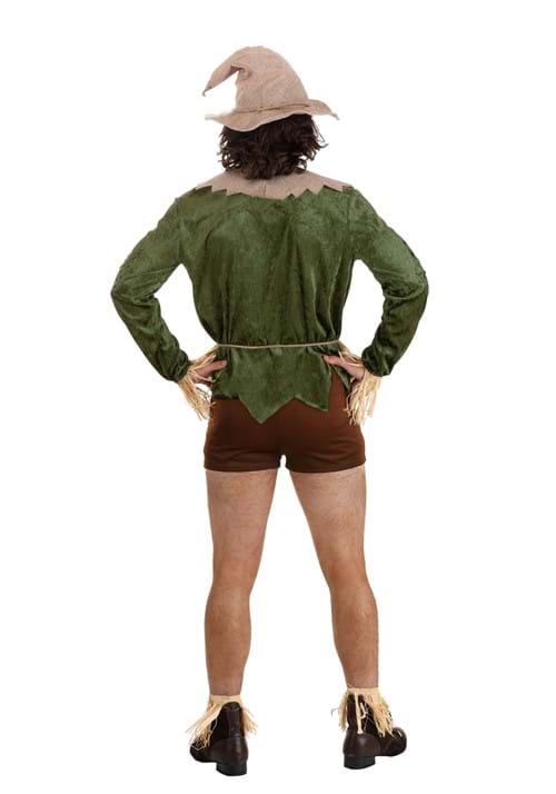 Sexy Men's Scarecrow Costume