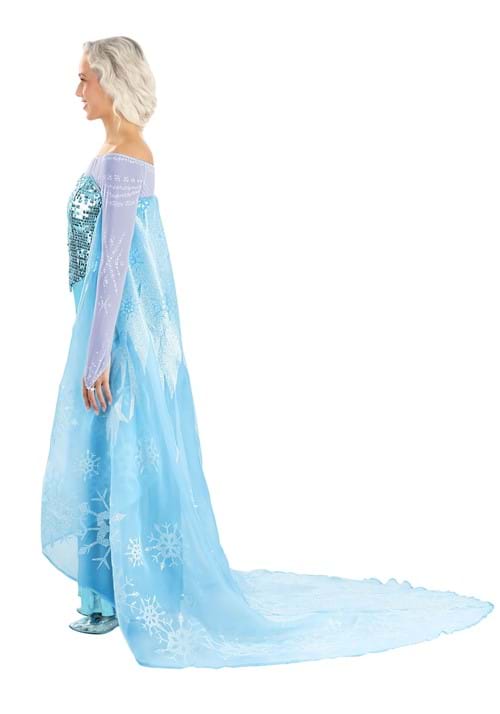 Premium Disney Frozen Elsa Women's Costume | Disney Costumes