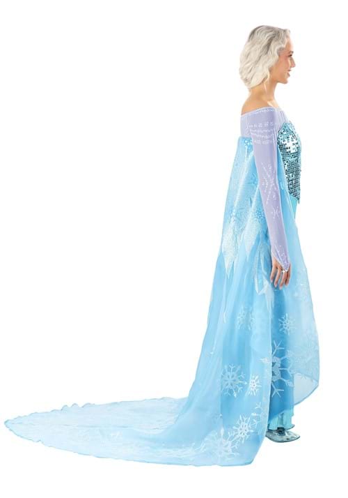 Premium Disney Frozen Elsa Women's Costume | Disney Costumes