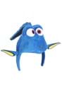 Dory Face Headband