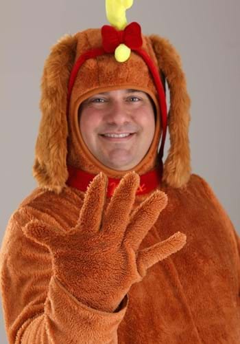 Plus Size Dr. Seuss The Grinch Max Costume