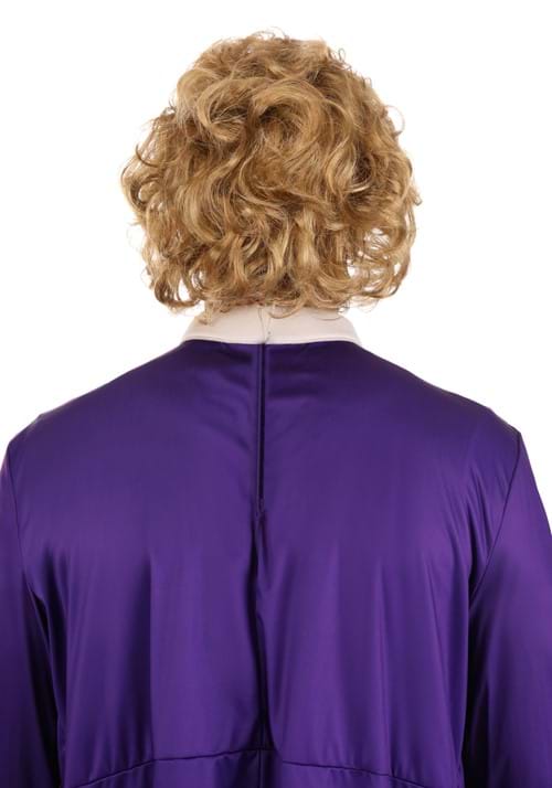 Willy Wonka and the Chocolate Factory Willy Wonka Men's Wig | Movie ...