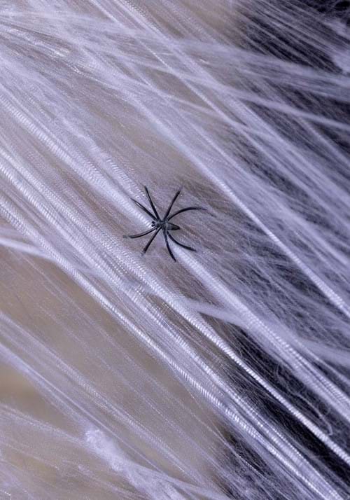 800 Square FT White Spider Web Halloween Prop | Spider Webs