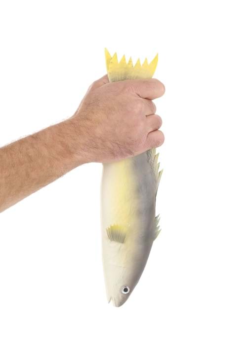 14.25-Inch Trout Rubber Fish Prop Accessory | Fish Accessories