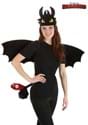 How to Train Your Dragon Toothless Costume Accessory Kit