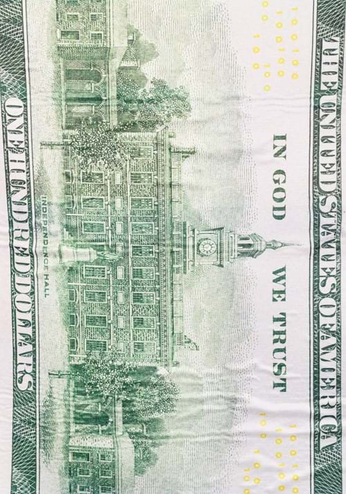 100 Dollar Bill Adult Costume | Money Costumes